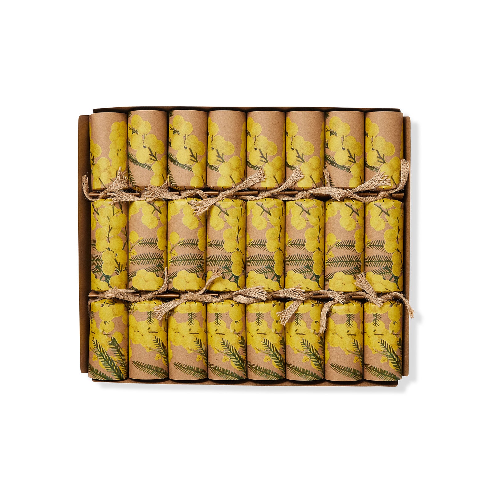Eco-Friendly, Wattle 12", Box of 8 | Bonbon Crackers – Crackers for Bonbons